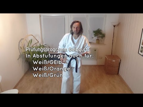 Gelbgurt Onlineprüfung 8.KYU